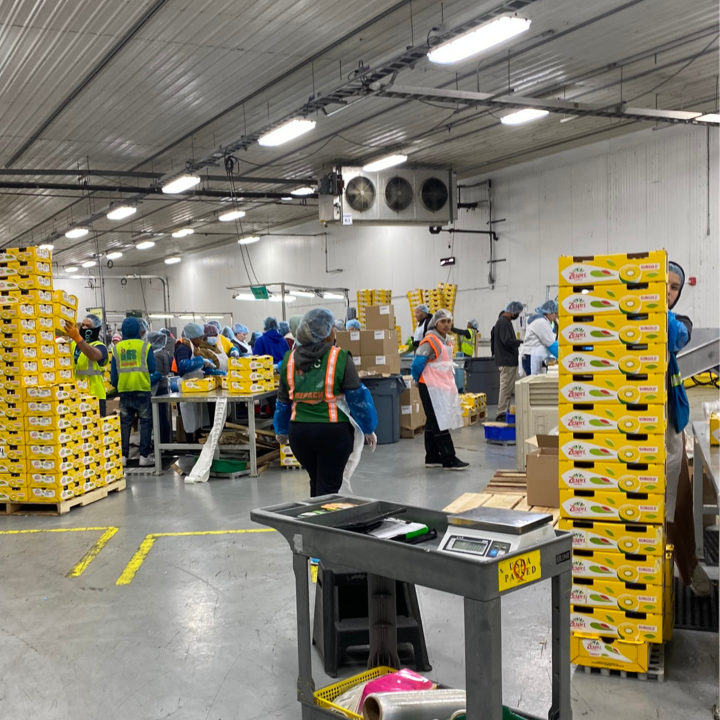 Xpedient Logistics | Warehouse Inventory Management Getting It Right ...